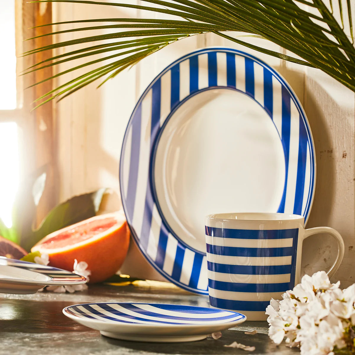 Dinner Plates | Coastal Dinner Plates | Coastal Compass Home Decor ...
