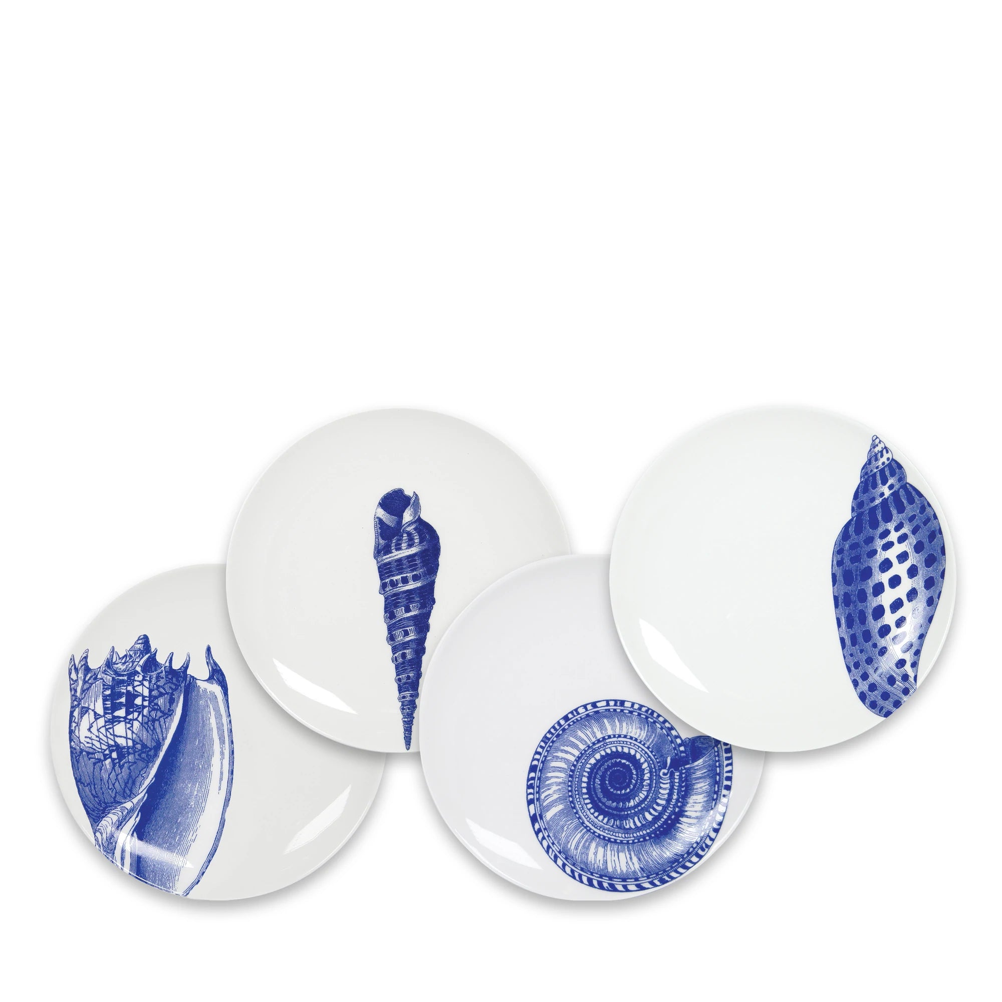 Blue Shells Appetizer Plates | Coastal Compass Home Decor – The Coastal ...